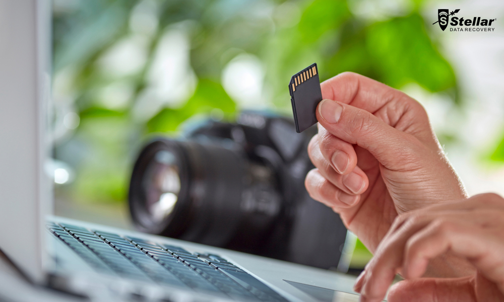 SD Card Buying Guide to Help you Choose the Right One! SD Card Buying Guide to Help you Choose the Right One!
