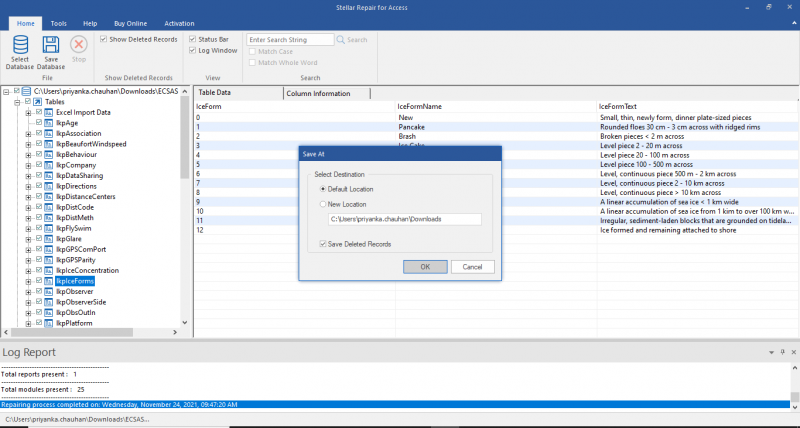 How To Repair Microsoft Access Database File and Recover Data?