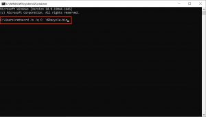 "No Option to Empty Recycle Bin on Windows 10/11" Issue
