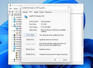 Fix dxgmms2.sys error in Windows 11 [DIY]