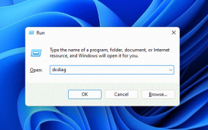 Fix dxgmms2.sys error in Windows 11 [DIY]