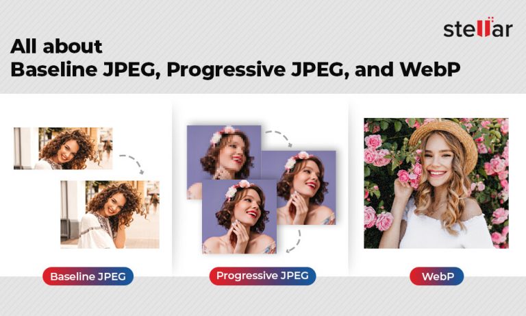 Baseline JPEG vs Progressive JPEG vs. WebP [Guide]Baseline JPEG vs ...