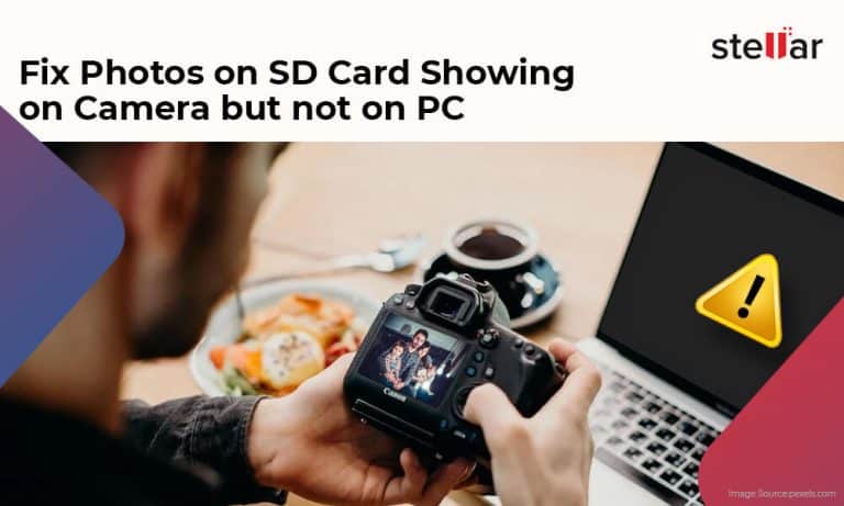 Photos on SD card show on camera but not on PC