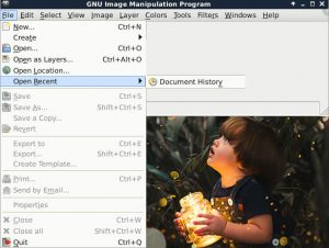 Recover GIMP files on Windows | Stellar