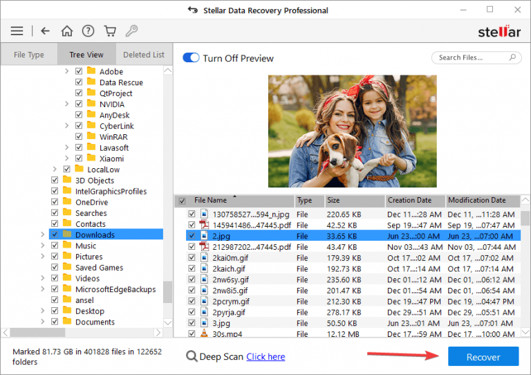 [SOLVED] WDF_Violation Blue Screen Error on Windows 11