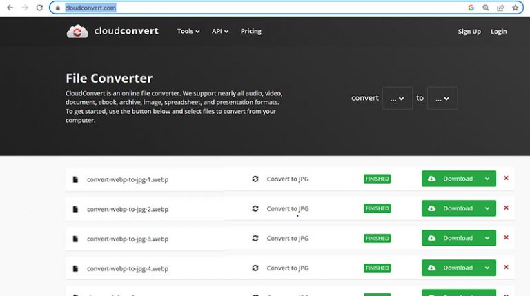 How to convert a picture to JPG or another image type? | Stellar