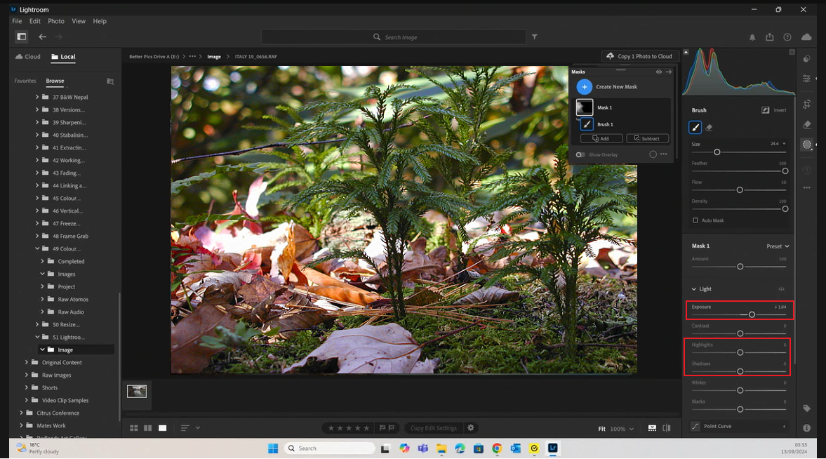 Remove Sun Glare from Photos: Lightroom, Photoshop & Camera Tricks