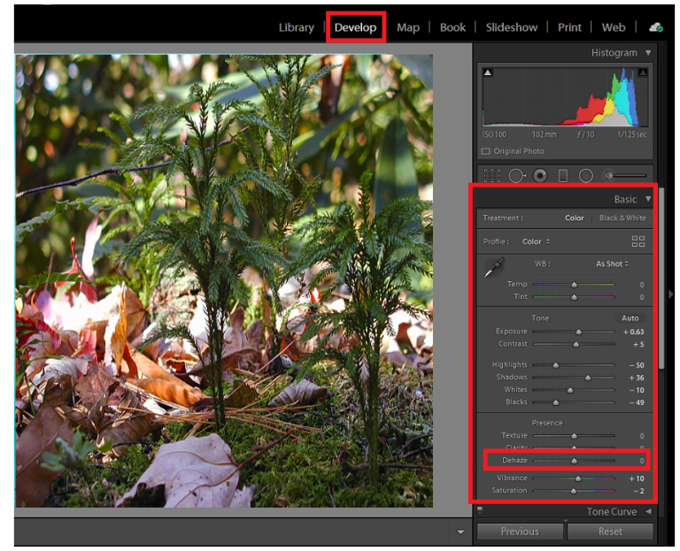 Remove Sun Glare from Photos: Lightroom, Photoshop & Camera Tricks