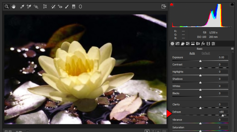 Remove Sun Glare from Photos: Lightroom, Photoshop & Camera Tricks