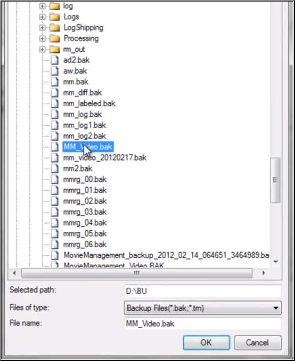 Restore Database In Sql Server 2014 From Bak File Step By Step